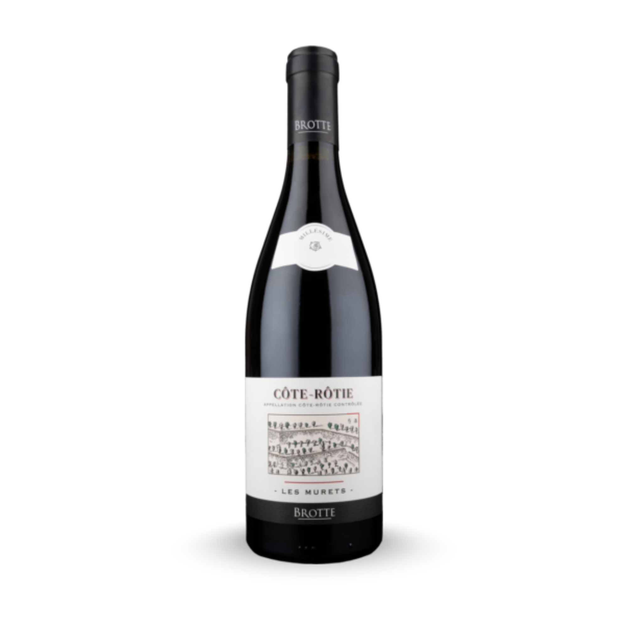 Brotte Esprit Côtes du Rhône Blanc - White Wine – Brera Deli and Butchery
